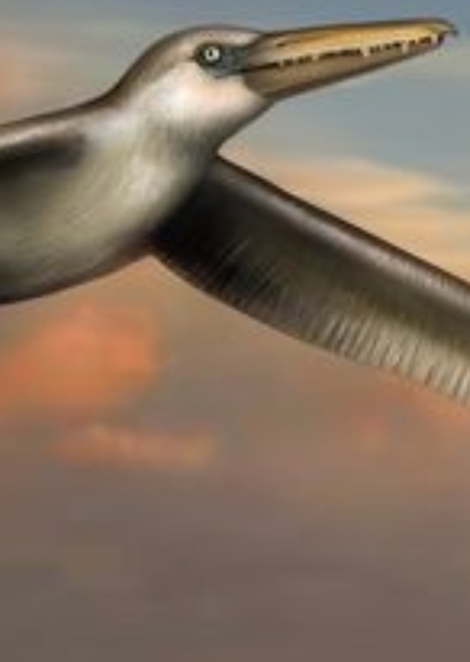 Giant Gull on myCast - Fan Casting Your Favorite Stories