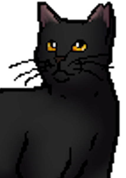 Gray Wing (Warrior Cats) Photo on myCast - Fan Casting Your Favorite ...