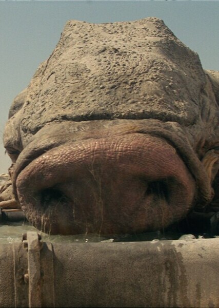 happabore Fan Casting