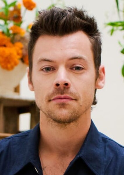 Fan Casting Harry Styles as Steve Harrington in "Stranger Things" (2016 ...