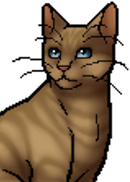 Heathertail (Warrior Cats) Photo on myCast - Fan Casting Your Favorite ...