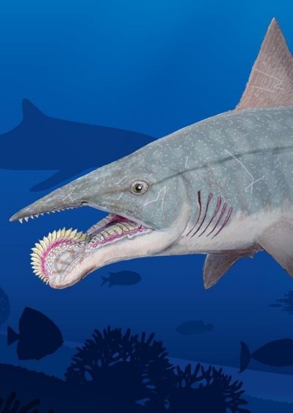 Helicoprion on myCast - Fan Casting Your Favorite Stories