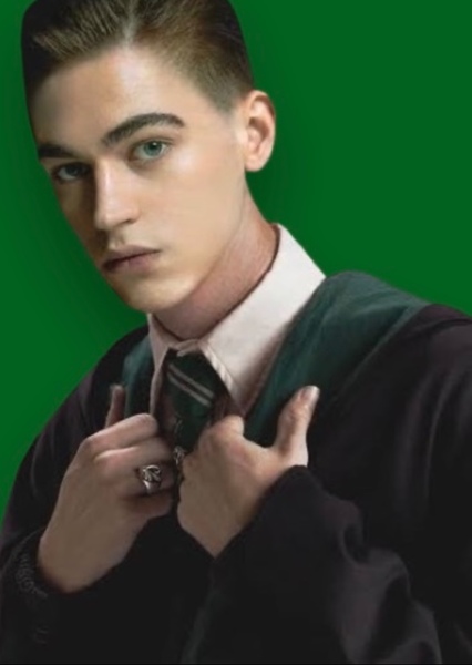 Tom Riddle Fan Casting for Harry Potter | myCast - Fan Casting Your ...