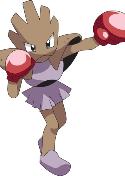 Hitmonchan Fan Casting