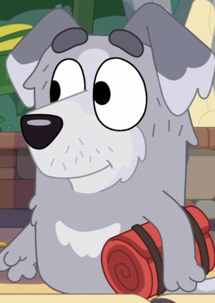 Homeless Dog Fan Casting