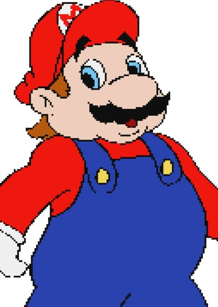 Hotel Mario Fan Casting