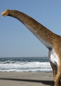 Photos of Hypselosaurus on myCast - Fan Casting Your Favorite Stories