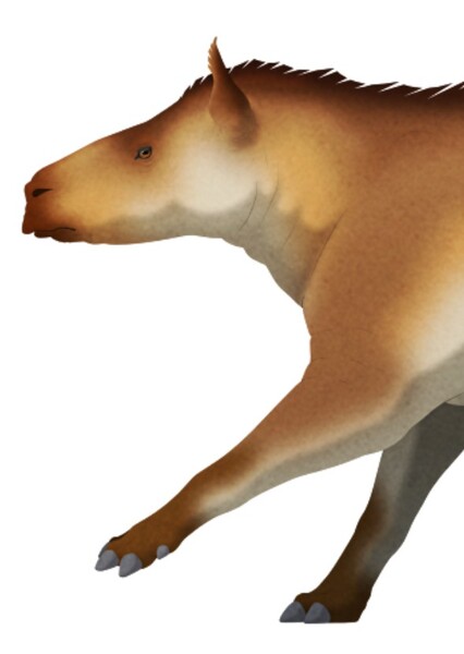 Bridger Formation Fan Casting for Prehistoric Wildlife by Fossil ...