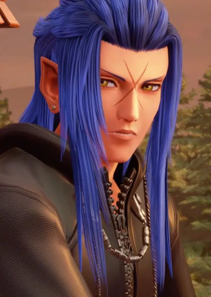Isa / Saïx (Kingdom Hearts) Photo on myCast - Fan Casting Your Favorite ...