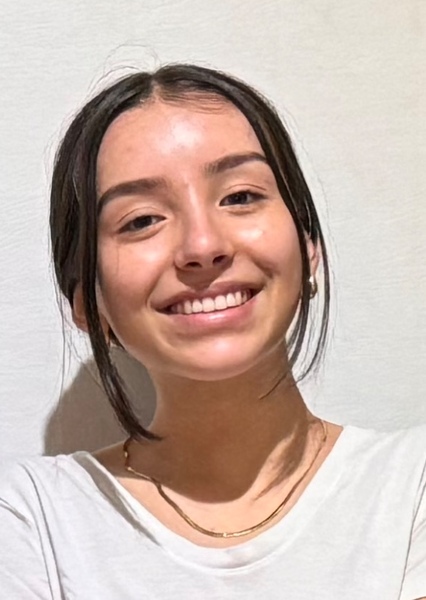 Hank Fan Casting for Talking Tom and Friends (my version) | myCast ...