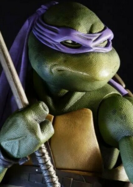 Rise of Sonic and The TMNT Fan Casting for Fanscription | myCast - Fan ...