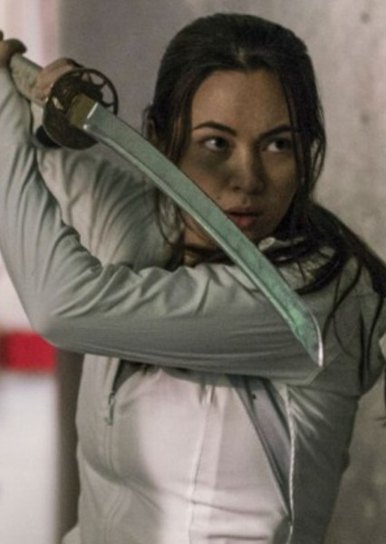 Captain America: To Wield The Shield Fan Casting on myCast