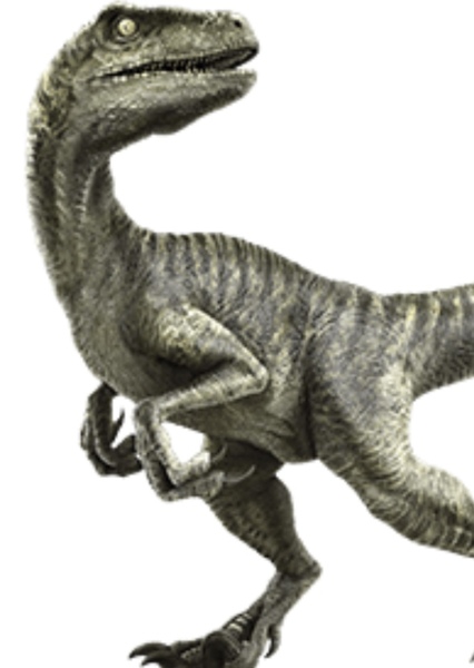 Jurassic Park Velociraptor Sound Effects Fan Casting