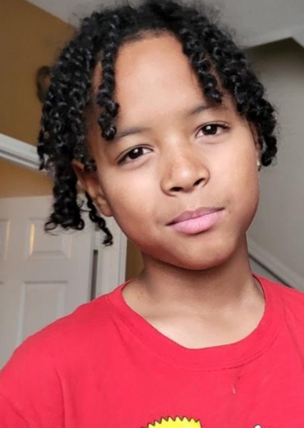 Power Rangers Beast Legends Fan Casting on myCast