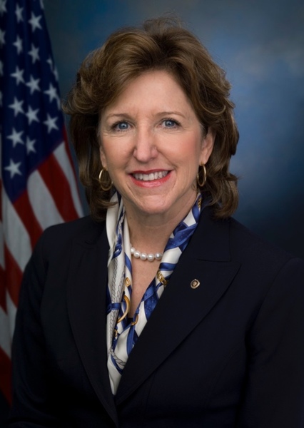 Kay Hagan Fan Casting