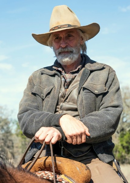 Kill Bill: The Whole Bloody Affair (2013-2014) Fan Casting on myCast