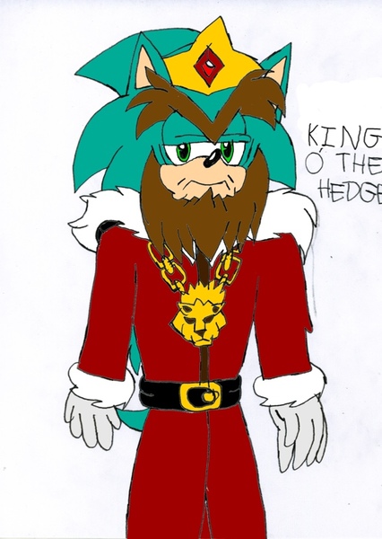 King O' the Hedge (Archie Sonic The Hedgehog) Fan Casting