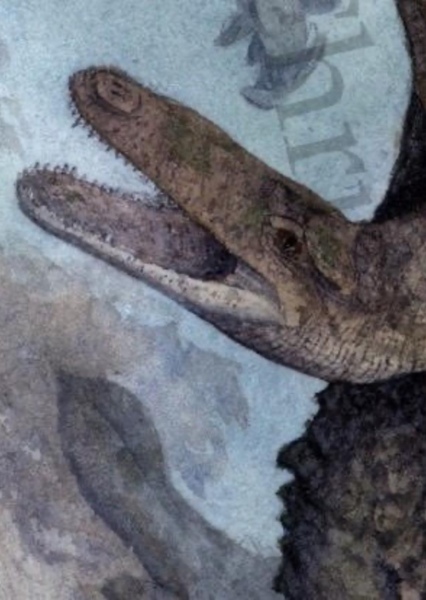 Laganosuchus Fan Casting