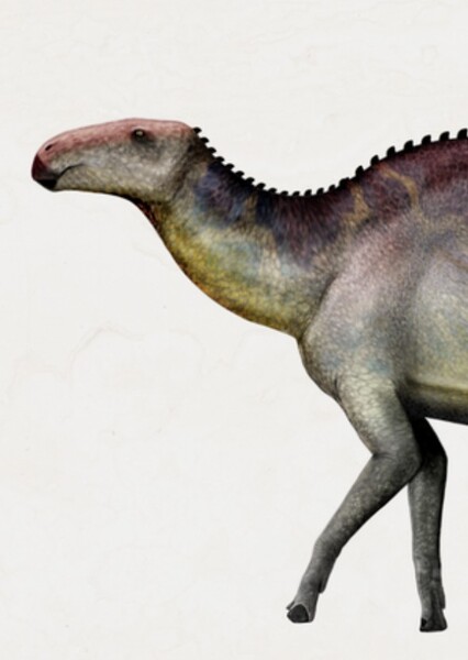 Photos of Lapampasaurus on myCast - Fan Casting Your Favorite Stories