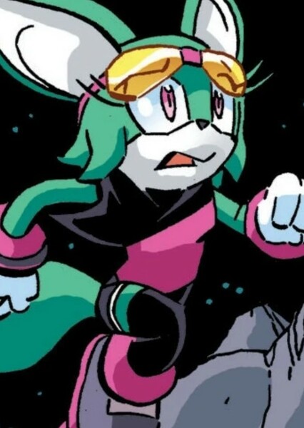 Sonar the Fennec Fan Casting for Sonic: Journey (A Sonic the Hedgehog ...