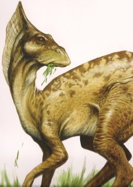 King Kong Ligocristus