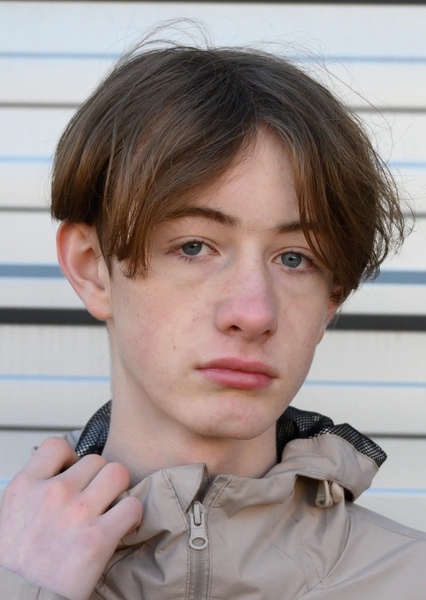 Lincoln Powell Fan Casting