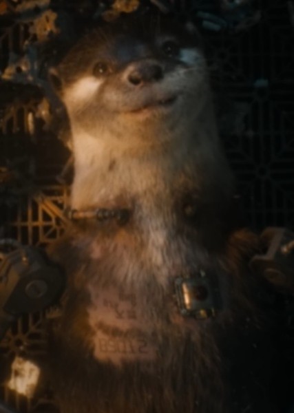 Gwen Mallard (Migration) on myCast - Fan Casting Your Favorite Stories