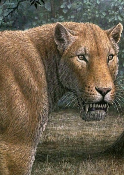 Prehistoric Animals Fan Casting for El Libro de la Selva: La Leyenda de ...