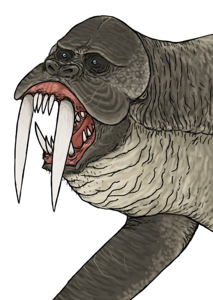 Maguma Photo on myCast - Fan Casting Your Favorite Stories