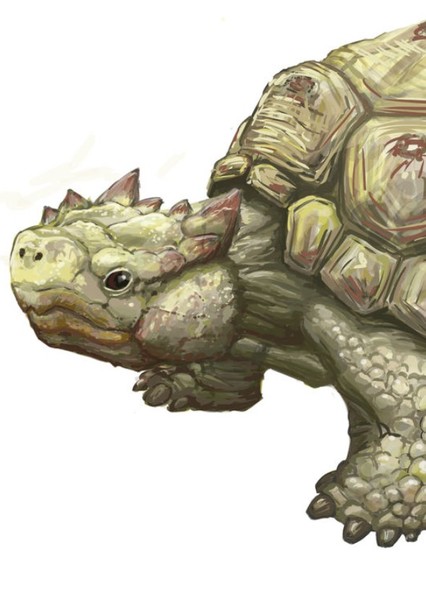 Meiolania on myCast - Fan Casting Your Favorite Stories