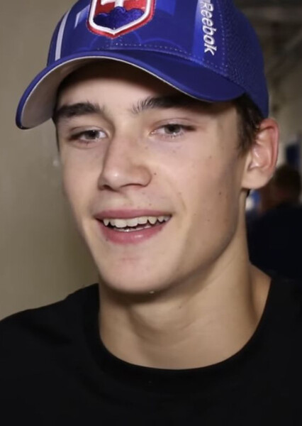 Bats, Robins, and Gothamites! Fan Casting on myCast