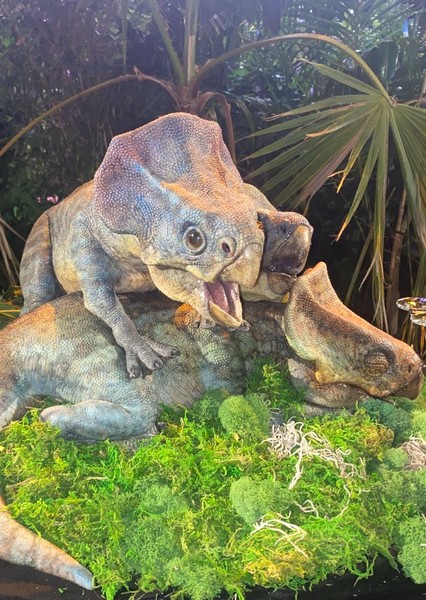 Microceratus on myCast - Fan Casting Your Favorite Stories