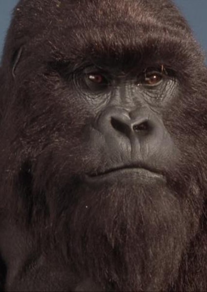 Mighty Joe Young (1998) Photo on myCast - Fan Casting Your Favorite Stories