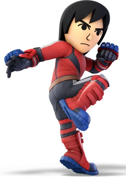 Mii Brawler Fan Casting