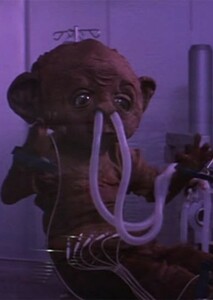 Photos of Miko (Nukie) on myCast - Fan Casting Your Favorite Stories