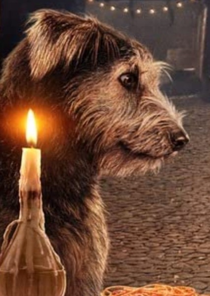 Monte (Dog) Photo on myCast - Fan Casting Your Favorite Stories