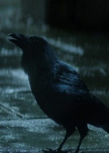 Moses (animal farm) Photo on myCast - Fan Casting Your Favorite Stories