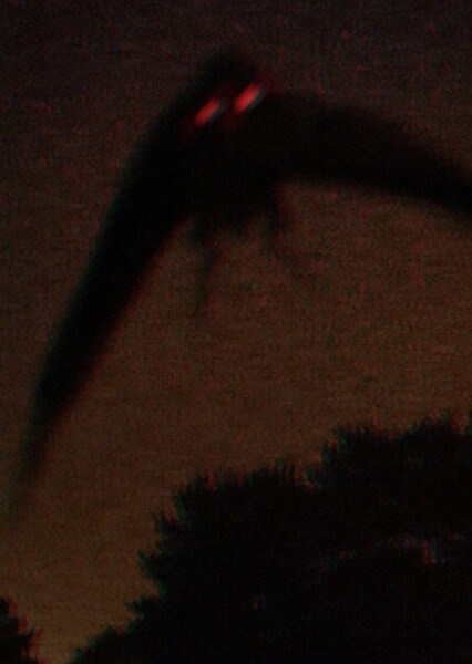 Mothman (Trevor Henderson) Fan Casting