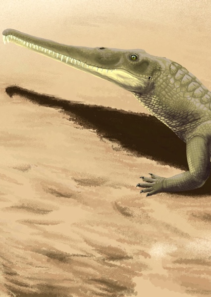 Revueltosaurus Fan Casting
