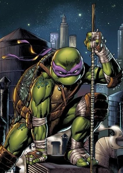 The Teenage Mutant Ninja Turtles Fan Casting on myCast