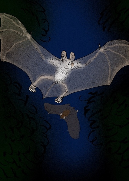 Necromantis Fan Casting