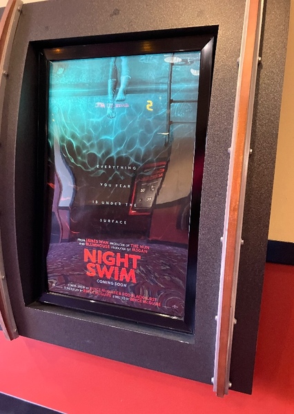 Night Swim Fan Casting