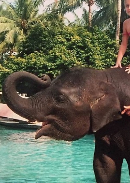 Ning Nong Fan Casting