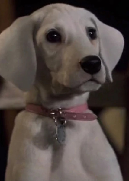 Oddball on myCast - Fan Casting Your Favorite Stories