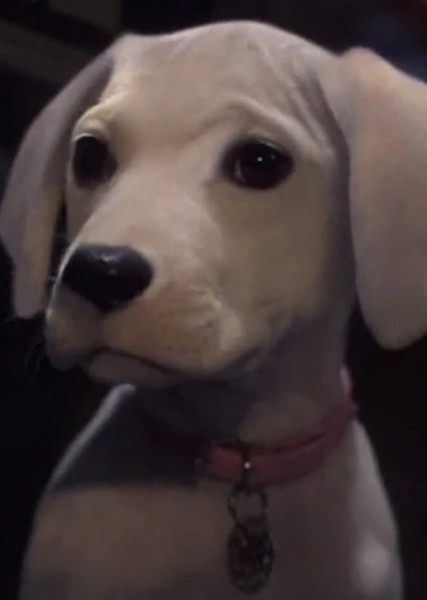 Oddball Photo on myCast - Fan Casting Your Favorite Stories