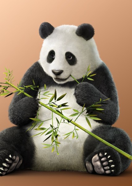 Panda (Tekken) on myCast - Fan Casting Your Favorite Stories
