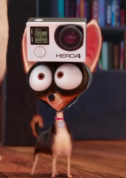 Peanut (The Secret Life of Pets) Fan Casting