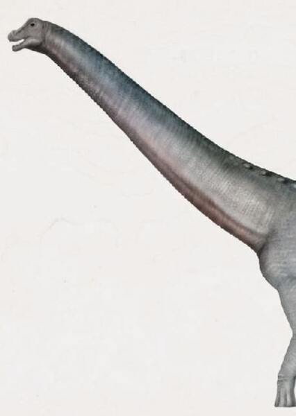 Pellegrinisaurus Fan Casting