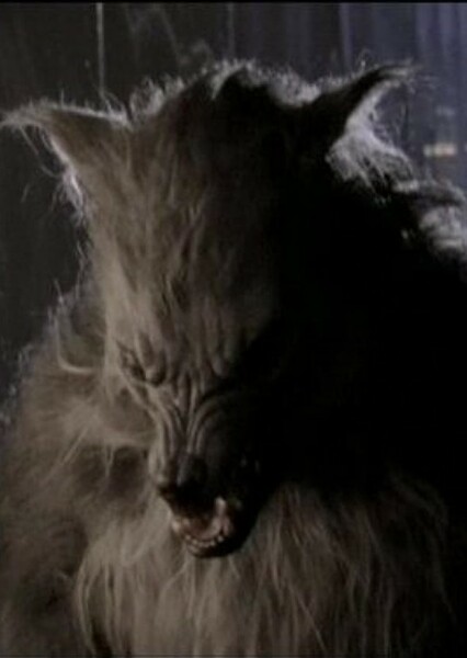 Phases (BTVS) " Oz " Fan Casting