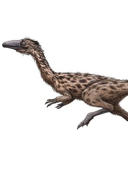 Podokesaurus Fan Casting